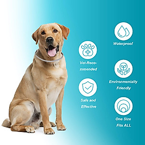 Flea and Tick Collar for Dogs,2 Pack,Natural Flea and Tick Prevention for Dogs,8 Months Protection,One Size Fits All Dogs,Adjustable & Waterproof,Include Flea Comb