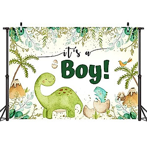 Sensfun It's a Boy Dinosaur Baby Shower Backdrop Decorations Eucalyptus Leaves Cartoon Jungle Dinosaurs Photography Background Boy Dino Baby Shower Party Kids Newborn Banner Photo Booth Supplies 7x5ft