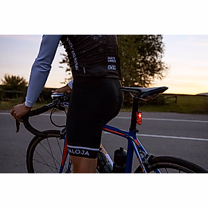 SIGMA Sport Blaze LED Bicycle Light Battery Rear Light with Brake Light German Road Traffic Act StVZO Approved