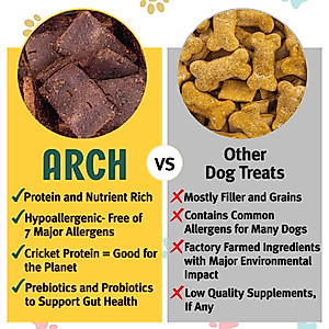 Arch Digestive Health Dog Treats | Prebiotic/Probiotic, Hypoallergenic, Made in The USA, Gluten-Free, Eco-Friendly | High Protein, Natural High Value | Gut and Stomach Relief and Support