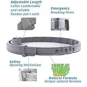 Advanllent Flea Collar for Cats, Flea and Tick Collars for Cats and Kittens, 8 Month Protection, Gray