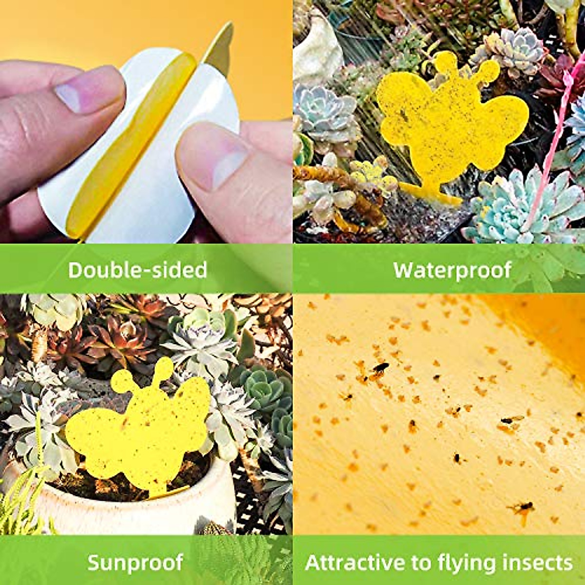 Kensizer 16pcs Yellow Sticky Traps for Gnats, Sticky Fruit Fly Fungus Gnat Trap Bug Traps Killer for White Flies, Aphids, Leaf Miners, Thrips Indoor Outdoor