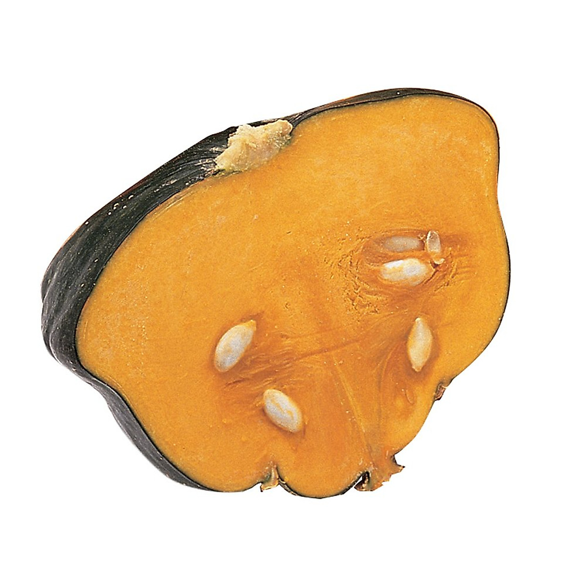 Burpee Buttercup Burgess Strain Winter Squash Seeds 30 seeds