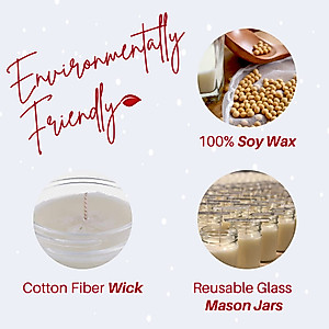 Nika's Home Spiced Cranberry Soy Candle 12oz Mason Jar Non-Toxic White Soy Candle-Hand Poured Handmade, Long Burning 50-60 Hours Highly Scented All Natural, Clean Burning Candle Gift Décor