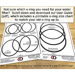 Captain O-Ring LLC - Replacement for Pentek Water 151122 OEM Size Big Blue O-Ring Buna-N ORing (6 Pack)
