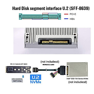 cablecc U.2 U2 SFF-8639 NVME PCIe SSD Cable for Mainboard Intel SSD 750 p3600 p3700 M.2 SFF-8643 Mini SAS HD