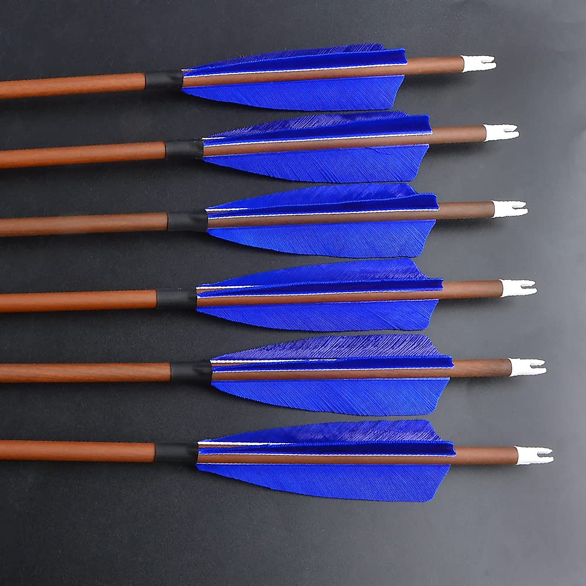 ZSHJGJR 31" Archery Carbon Arrows Spine 340 400 500 600 Hunting Arrows with Removable Tips Natural Feather Targeting Arrows for Compound & Recurve & Traditional Bow 6/12pcs (Spine 340, blue, 12)