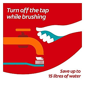 Colgate Zig Zag Medium Toothbrush