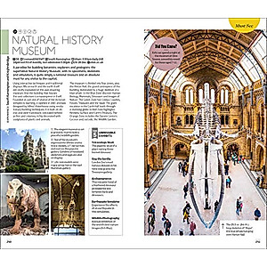 DK Eyewitness London (Travel Guide)