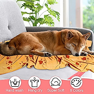 8 Pcs 55 x 28 Inches Dog Towels Pet Bath Drying Towels Absorbent Microfiber Soft Beach Towels for Small Medium Large Cat Puppy Shower Cleaning Accessories, 8 Colors