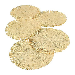 Round Luau Fringe Placemat Decoration (Set of 12) Tropical Party Supplies