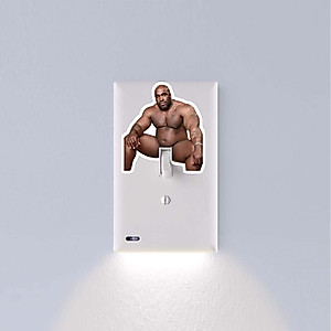 10pcs Funny Barry Wood Light Switch Sticker Decals, Waterproof Vinyl Prank Joking Wall Stickers for Living Room, Car, Laptop Skins, Skateboard, Computer, Tumblers, Phone, Bumper (10Pcs)