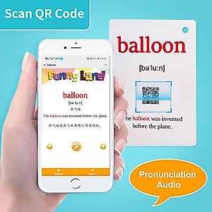 Lilias Transportation/Clothes/Occupations Flash Cards, English Words Learning Pocket Card for Toddlers, Toddler Learning Toys, Learning Supplies for Kindergarten Preschool, 3 Themes Set