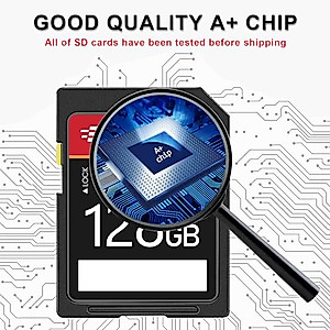 EASTBULL 2-Pack SD Card 128GB U3 V30 High-Speed 100MB/s Read Class 10 SD Card SDXC Memory Card for Camera, Full HD Video, with 2 Mini Case (128GB, 2 Pack)