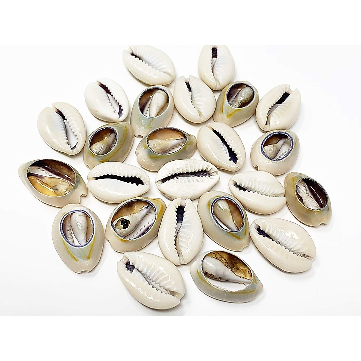 Crispy Collection Tomorrow sea shell cutted hair beads cowrie dreadlocks braid bead decoration 2packs (SHB1)