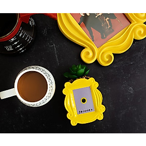 BoxLunch Friends Peephole Frame Faux Succulent Planter