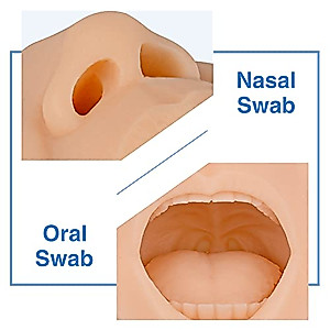 SimCoach Nasal Swab, Throat Swab Test Training Model, Swab Collection Simulator, Saliva Oral Swab, Acupuncture, Puncture Practice Model (White)