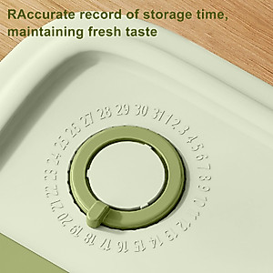 Food Storage Container for Fridge,4-Layer Lunch Meat Container for Refrigerator, Plastic Food Containers with Drain Plate and Lid, Food Storage Boxes with Lid for Fruits, Vegetables, Meat (Green)