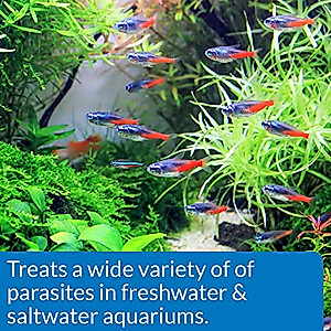 API GENERAL CURE Freshwater and Saltwater Fish Powder Medication 30-Ounce Bulk Box,White