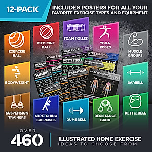 [12-PACK] Laminated Large Workout Poster Set - Perfect Workout Posters for Home Gym - Exercise Charts Incl. Dumbbell, Yoga Poses, Resistance Band, Kettlebell, Stretching & More Fitness Gym Posters