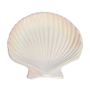 Beachcombers Scallop Shell Dish, 7.2-inch Length