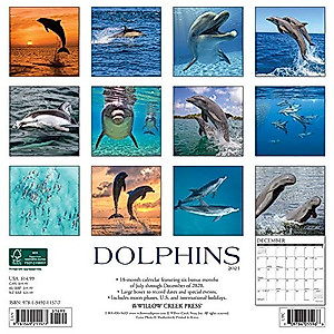 Dolphins 2021 Wall Calendar