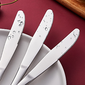 Aebeky 8-Piece Stainless Steel Table Knives,Dinner Knives Set,9.1-Inch (8-Piece)