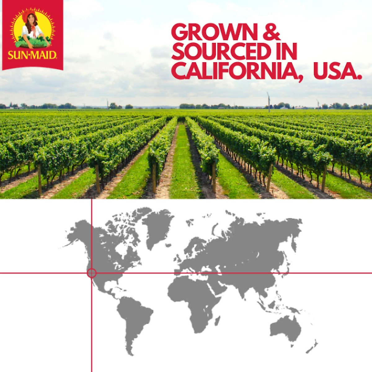 Sun-Maid Vanilla Yogurt Coated Raisins - (6 Pack) 1 oz Snack-Size Box - Yogurt Covered Dried Fruit Snack for Lunches and Snacks