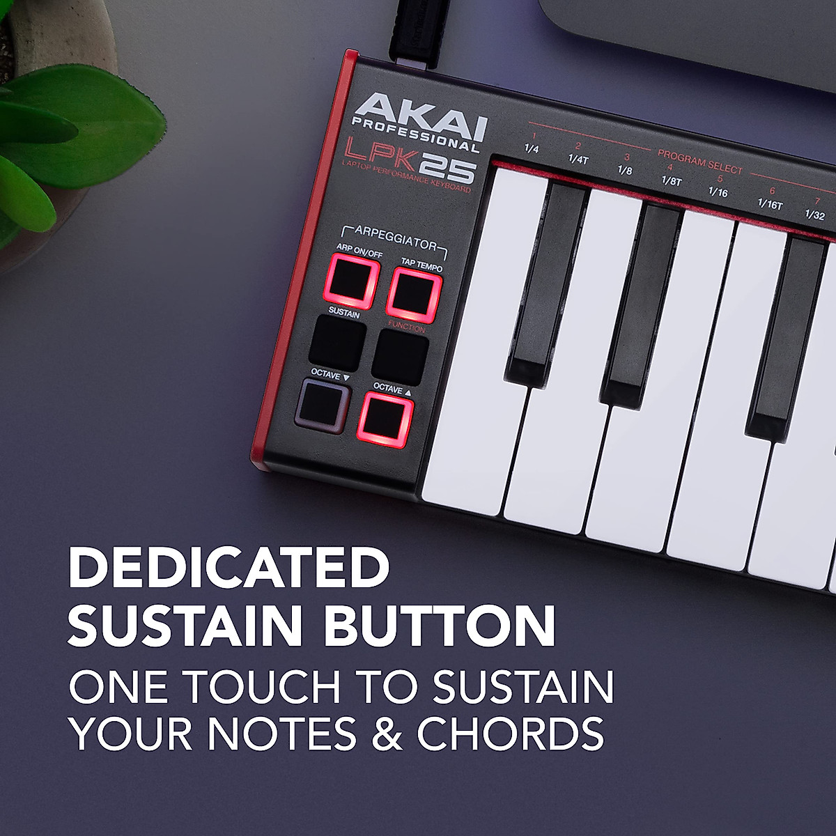 AKAI Professional LPK25 - USB MIDI Keyboard Controller with 25 Responsive Synth Keys for Mac and PC, Arpeggiator and Music Production Software,black