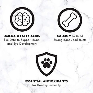 NUTRO NATURAL CHOICE Puppy Dry Dog Food, Chicken & Brown Rice Recipe Dog Kibble, 13 lb. Bag