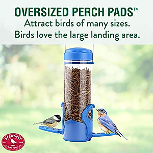 Perky-Pet 388F Dried Mealworm Bird Feeder with Flexports