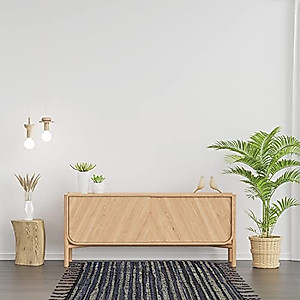 Asraie Eco Friendly Hand Woven & Reversible Cotton Chindi Rag Rug 100% Recycled Cotton Area Rug for Living Room Kitchen Entryway 2x3' (Black Multi)