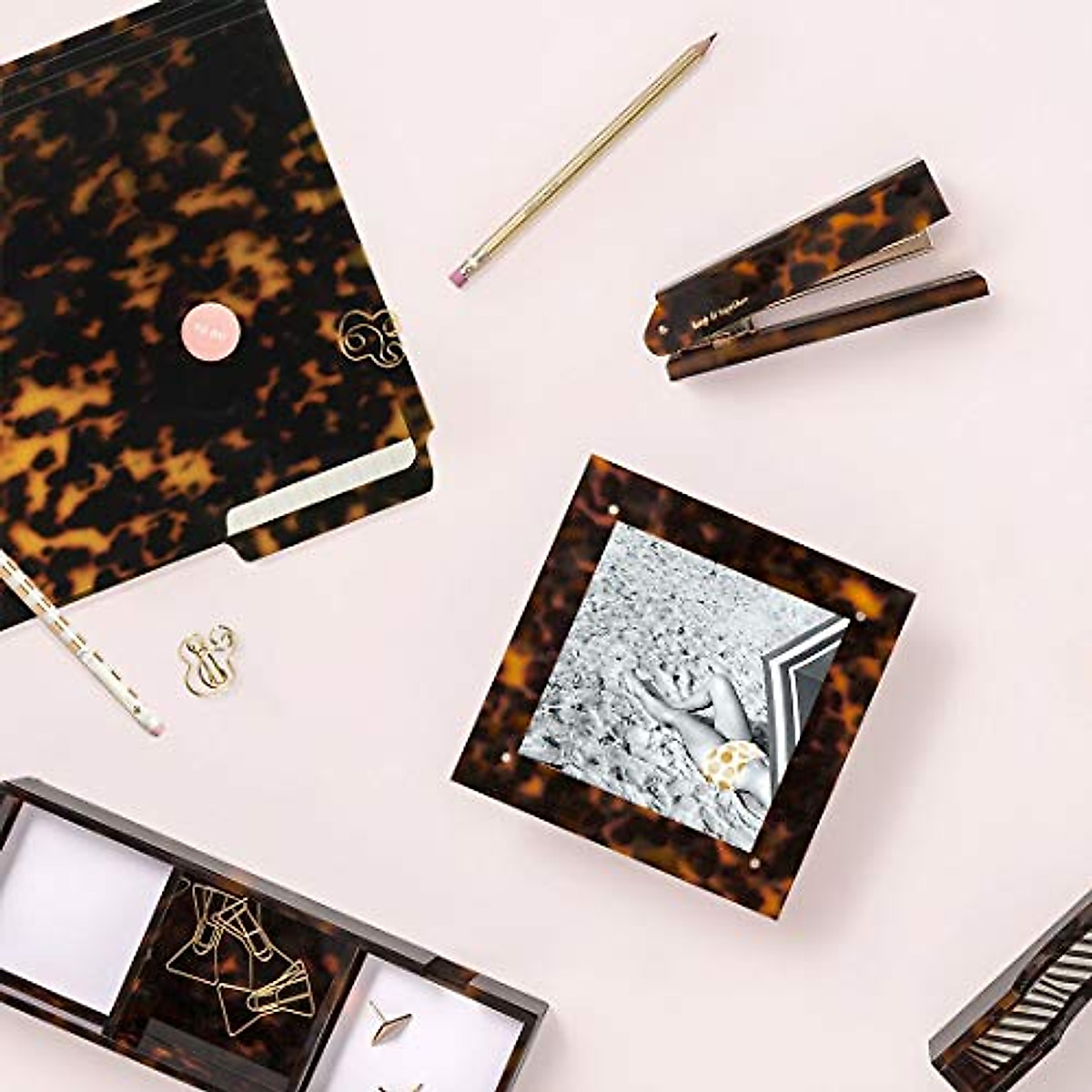 Kate Spade New York Organizer Thick File Folders Pack of 6 (Tortoise)