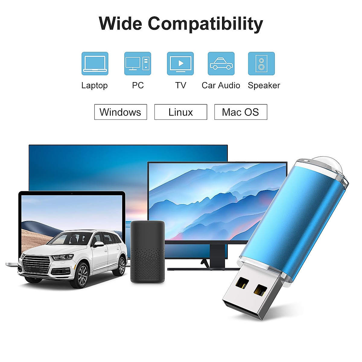 RAOYI 10 Pack 1GB 1G USB Flash Drive USB 2.0 Memory Stick Bulk Thumb Drive Pen Drive Blue