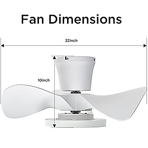 ocioc Quiet Ceiling Fan with LED Light 22 inch Large Air Volume Remote Control for Kitchen Bedroom Dining Room Patio