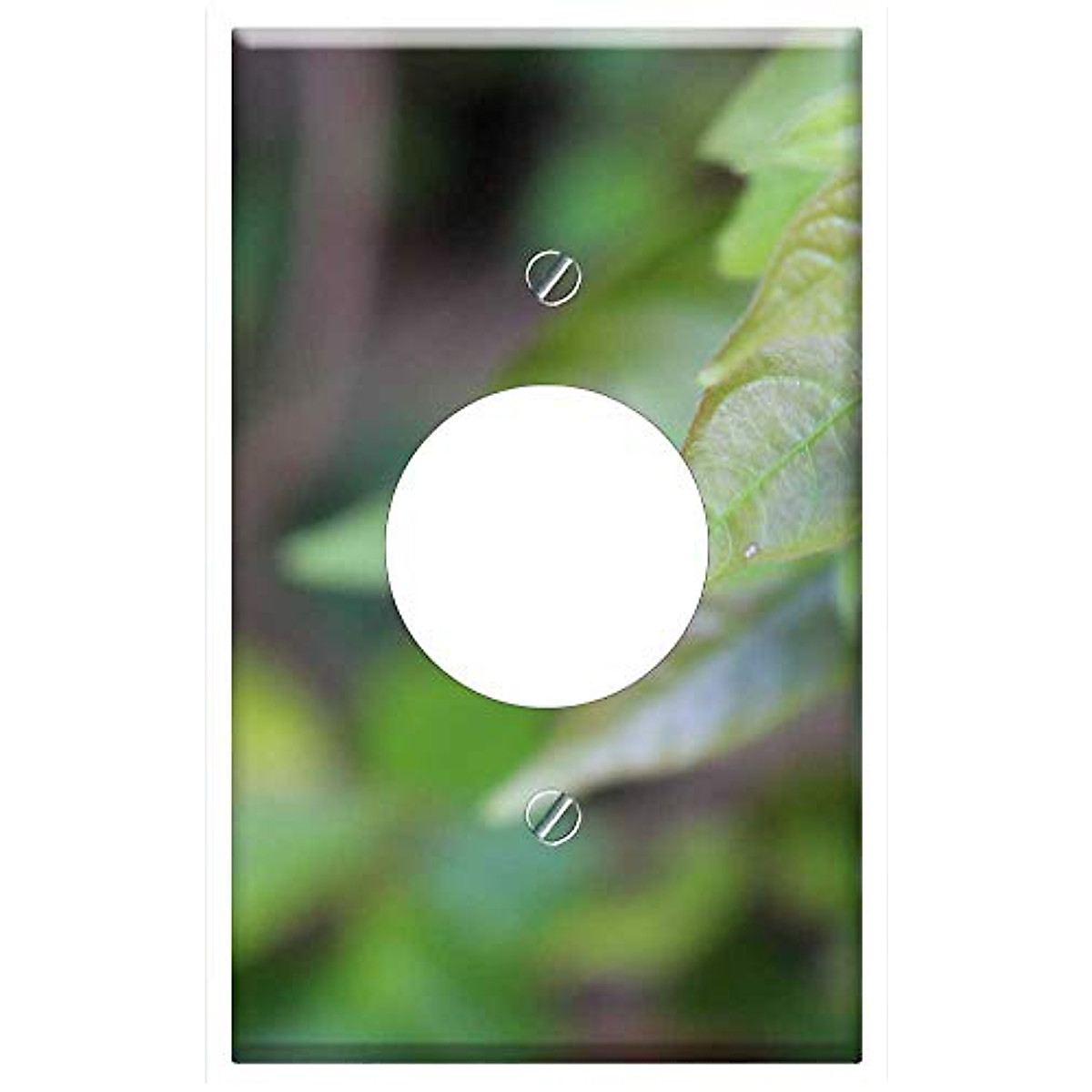 Single Hole Device Receptacle Wall Plate Cover - Bug Leaf Nature Green Insect Garden Pest Plant