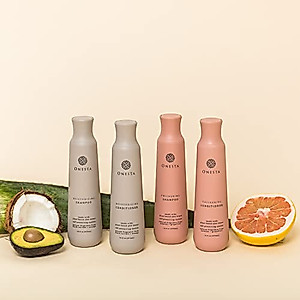 Onesta Hair Care Plant Based Thickening Shampoo for Fine and Thinning Hair, 16 Ounces (Pack of 1)