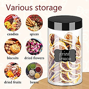 Plastic Jars with Lids 20Pcs 14 oz Clear Plastic Slime Storage Jars Containers with Airtight Leak Proof Black Plastic Screw On Lids Cylinder Clear Round Jars Easy Clean Food Grade Durable PET…