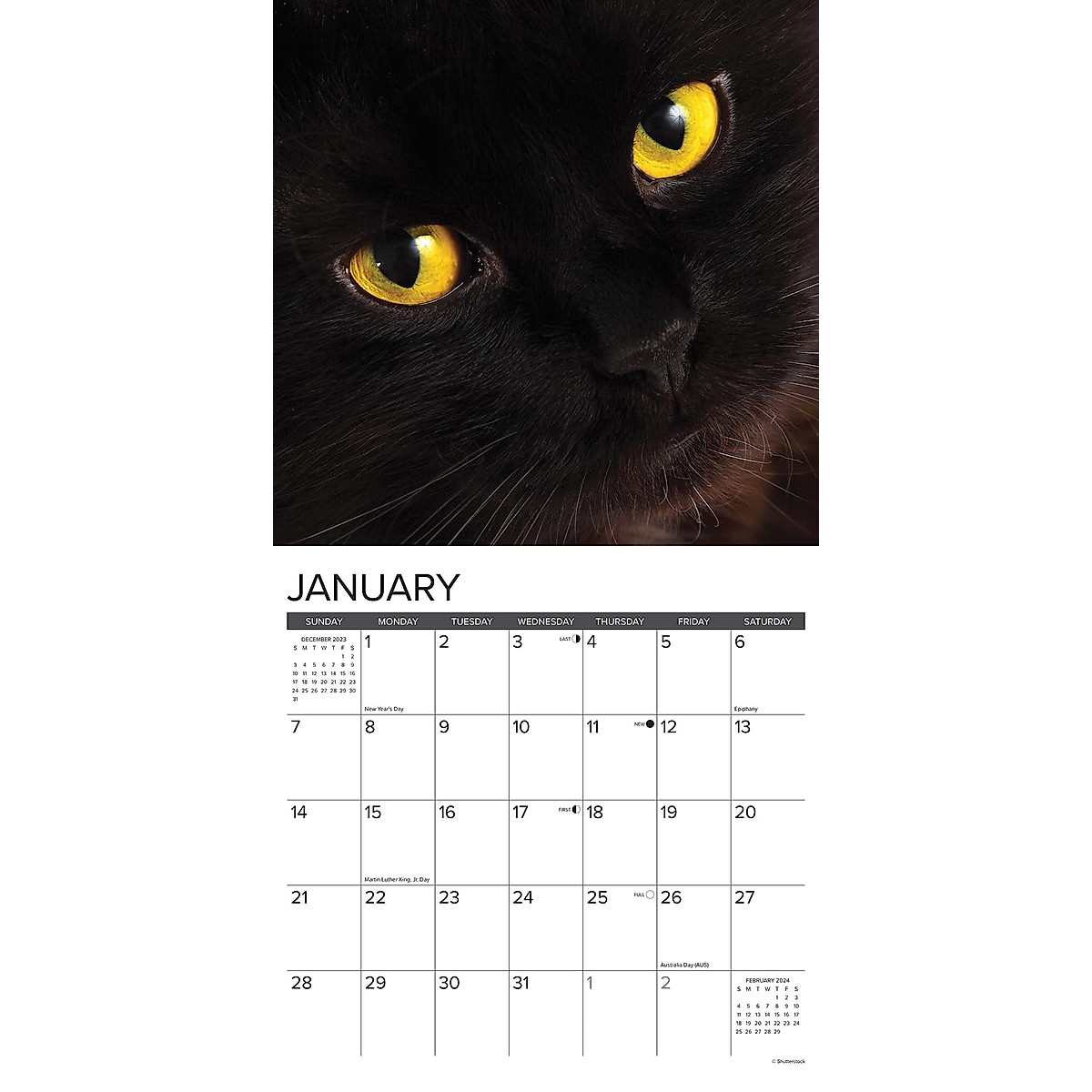 Willow Creek Press Black Cats Monthly 2024 Wall Calendar (12" x 12")