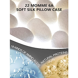 Mulberry Silk Pillowcase for Hair and Skin, SGMSILK 22 Momme Natural Silk Pillow Cases with Zipper, 6A Soft and Smooth Single Sided Pure Silk Pillow Cover (Dark Gray, Queen 20"x30")