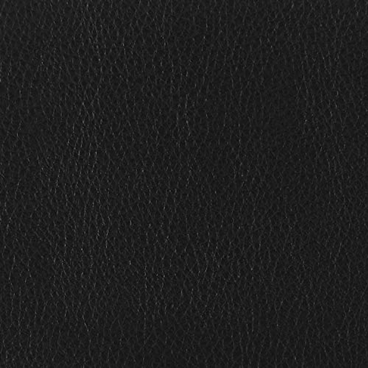 Coaster Home Furnishings Samuel Sleeper Sofa Black