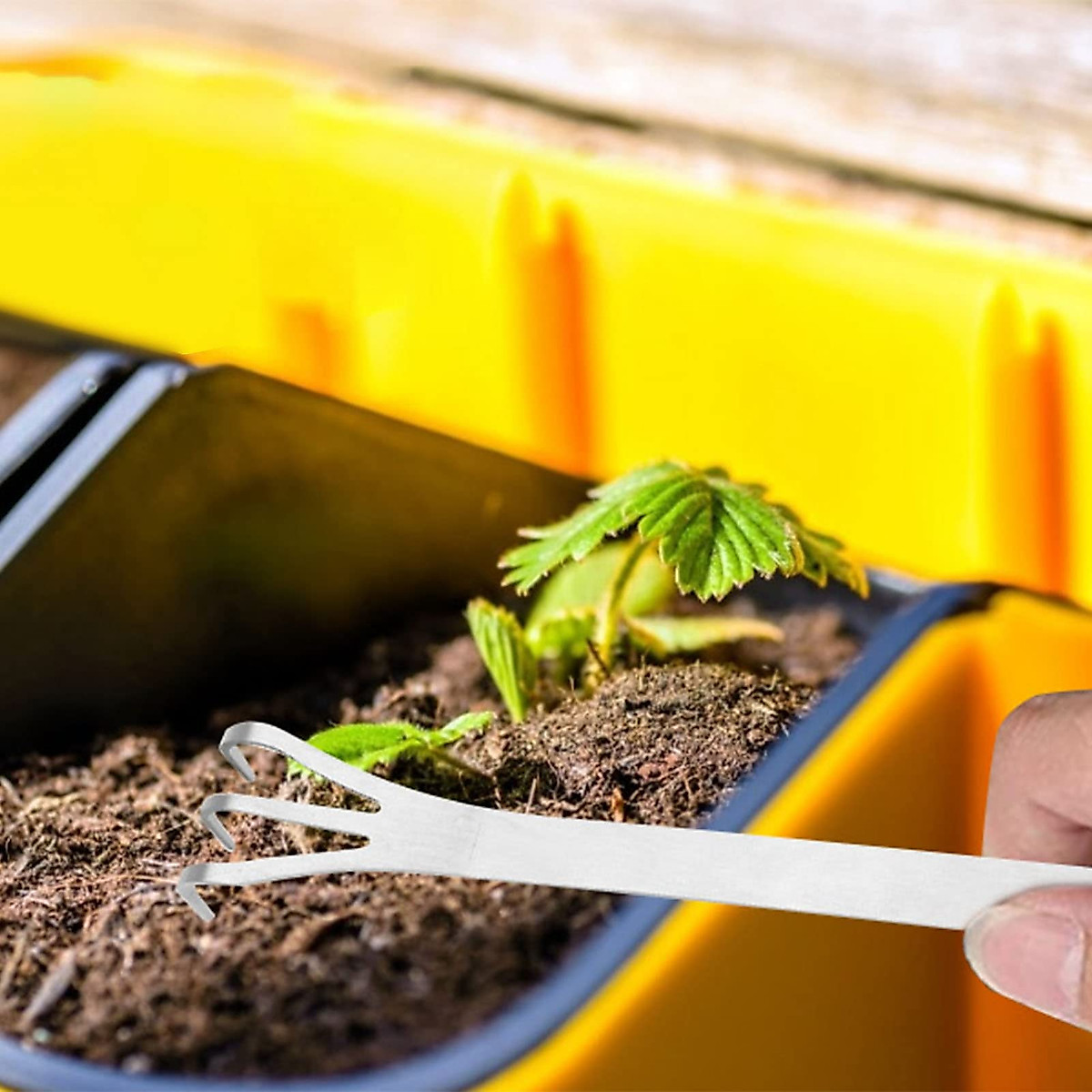 Bonsai Root Rake, Bonsai Rake Stainless Steel Bonsai Root Tool Root ...