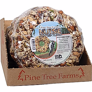 Pine Tree Farms PTF1353 Le Petit Nutsie Wreath 1.5 lbs