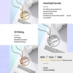 MRENITE 10k 14k 18k Solid Yellow Gold Personalized Name Family Tree Necklace with Birthstone –Dainty Nameplate Tree of Life Birthstone Pendant- Custom Any Name Gift for Womens Adults Mens (2 names)