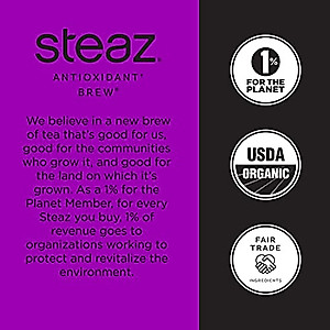 Steaz Antioxidant Brew Organic Yerba Mate Tea 16 oz. Pack of 12 (Unsweetened Elderberry)