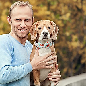 Personalized Dog Collars with Bowtie for Female Dogs,Cute Custom Dog Collar for Girl Dog Engraved with Name and Phone Number for Puppy Small Medium Large Dogs