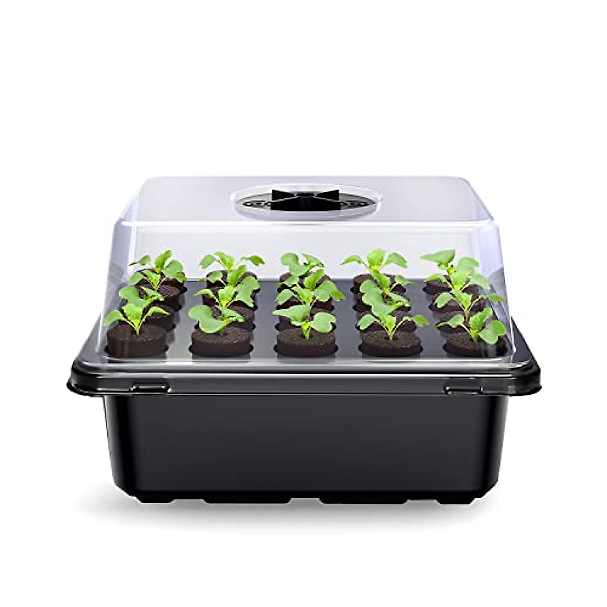 iDOO Seed Starter Tray with Grow Sponges, 20 Cells Reusable Seed Starter Kit with Humidity Dome, Base Mini Greenhouse Germination Kit for Seeds Growing Starting