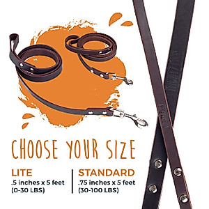 Mighty Paw Leather Dog Leash | 5 ft Leash Super Soft Distressed Real Genuine Leather- Premium Quality, Modern Stylish Lead. Perfect for Small, Medium and Large Pets Brown