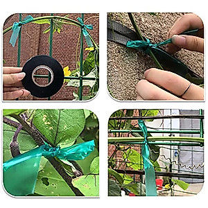 Medoore 24 Rolls 150 Feet Stretch Tie Tape 0.5 Inch Garden Tie Tape Thick Plant Ribbon Garden Green Vinyl Stake for Indoor Outdoor Patio Plant Use