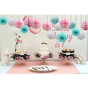 Teal Party Supplies for Bridal Baby Shower First Birthday Party Wedding Decorations (16pcs) Paper Honeycomb Ball Pom Poms Flowers Paper Lanterns Hanging Tissue Fan